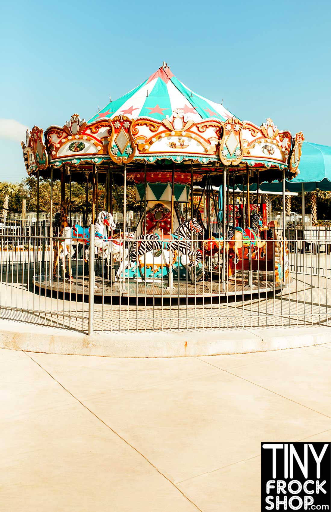Carousel Fashion Photography